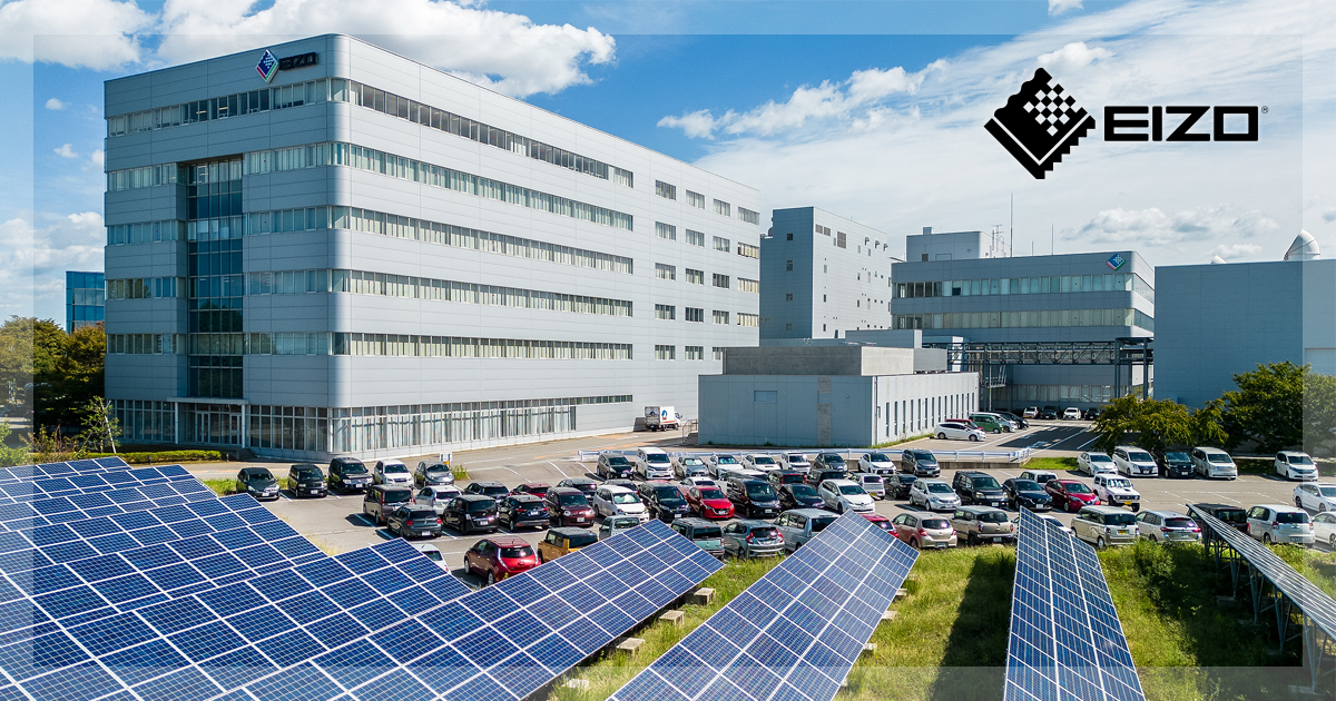 Information on the company and its history